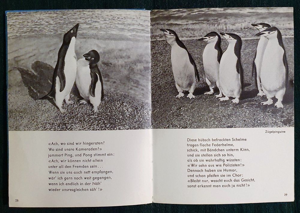 PING und PONG die lustigen Pinguine | Kaufen auf Ricardo