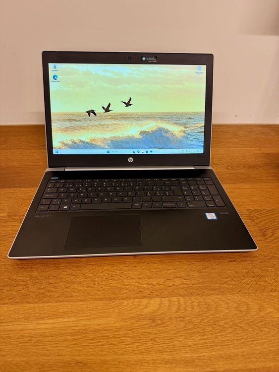 HP ProBook 450 G5 Notebook, , 8 GB Ram, 256GB SSD, Windows 1 (Gebraucht ...