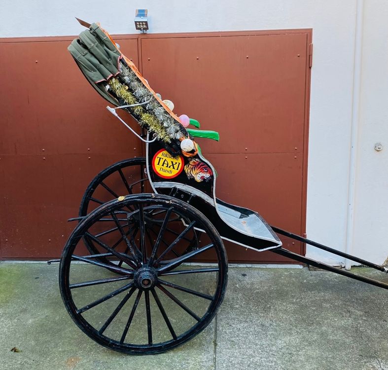Rikscha Taxi Fasnacht Karneval Fasching ab 1.- (Gebraucht) in Basel für ...