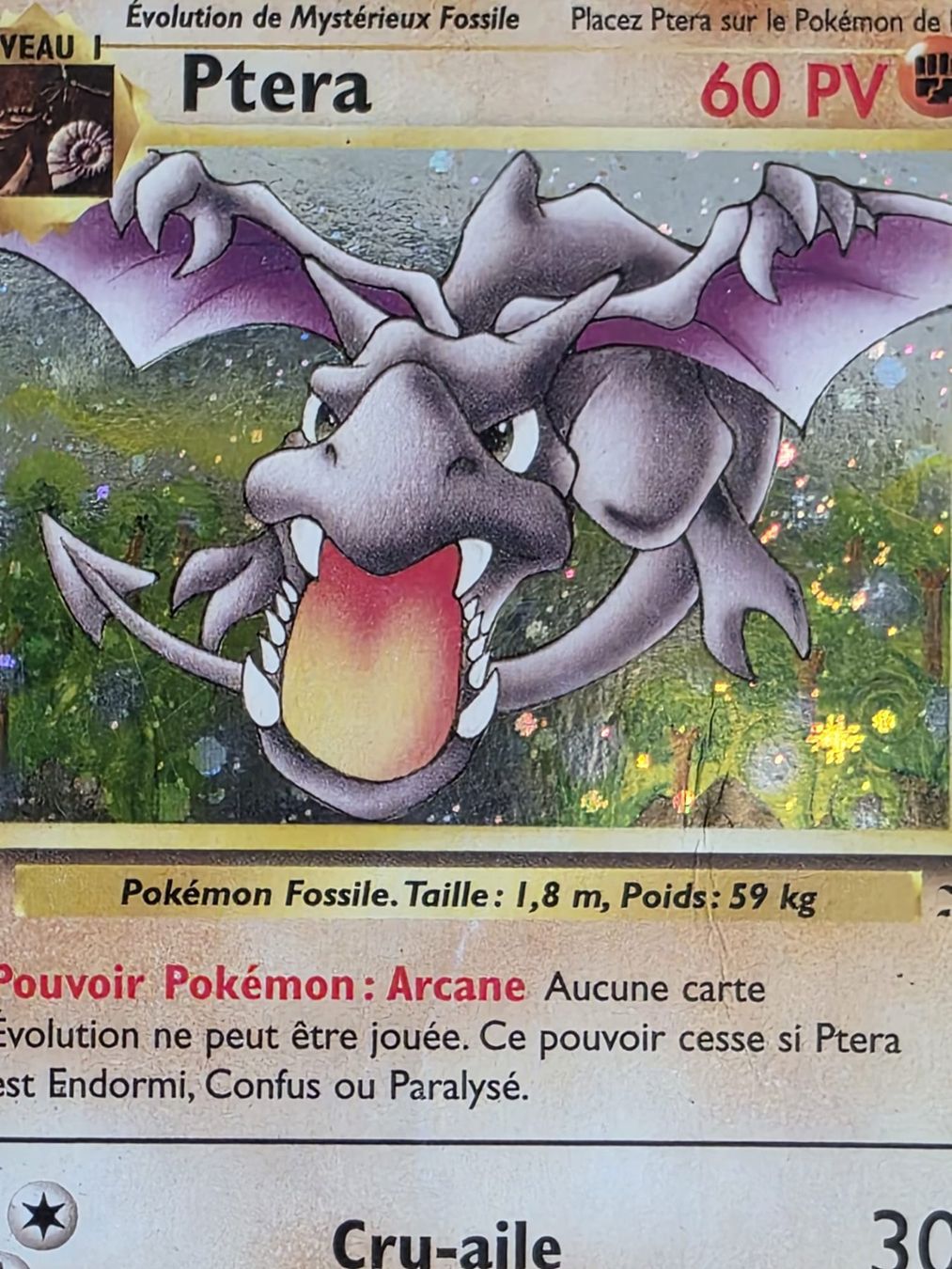 Ptera 1 Edition Fossile 1/62 Française Holo Wizards (Gebraucht) in ...