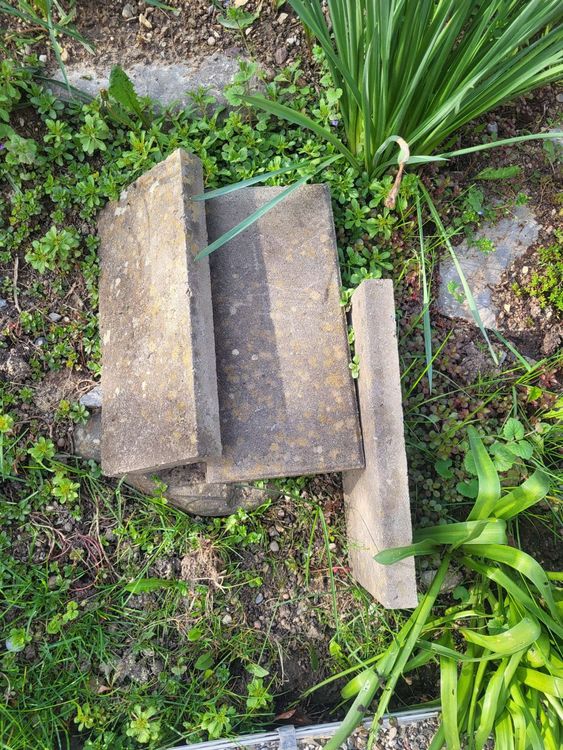 16 X Gehwegplatten Betonplatten Gehwegsteine 40 X 20 X 4 Cm Kaufen