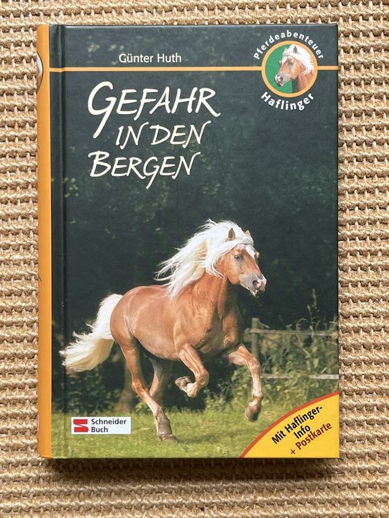 Jugendbuch über Pferde: Gefahr in den Bergen (Gebraucht) in Oberwil BL ...