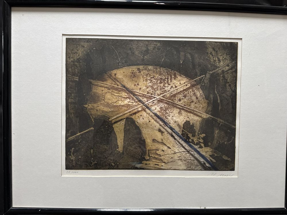 MOSER Maria Lithographie “ Magisches Feld “ (Gebraucht) in Schmitten FR ...