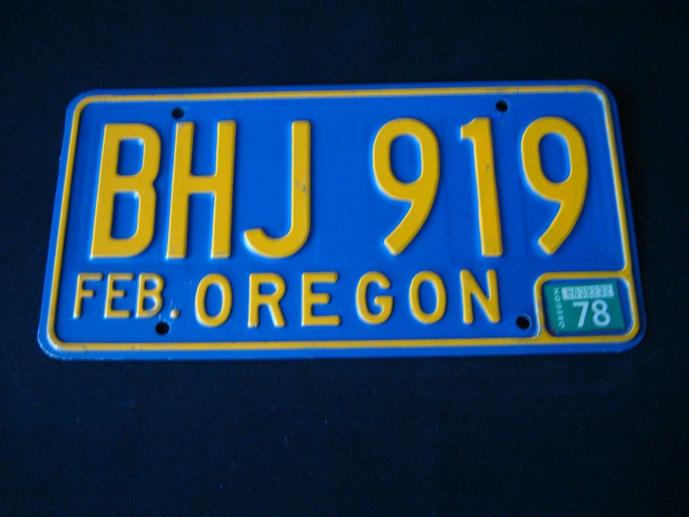 OREGON BHJ 919 (Gebraucht) in Scherz für CHF 30 – mit Lieferung auf ...