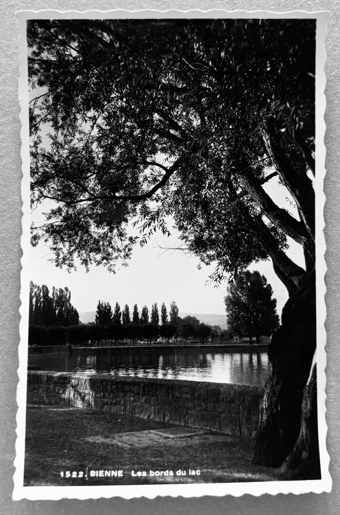 Biel, Bienne, Les bords du lac (Gebraucht) in Frauenfeld für CHF 3.5 – mit Lieferung auf Ricardo ...