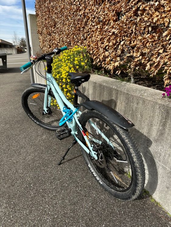 SCOTT CONTESSA 24", Scheibenbremsen, Schutzblech, Ständer | Kaufen auf ...