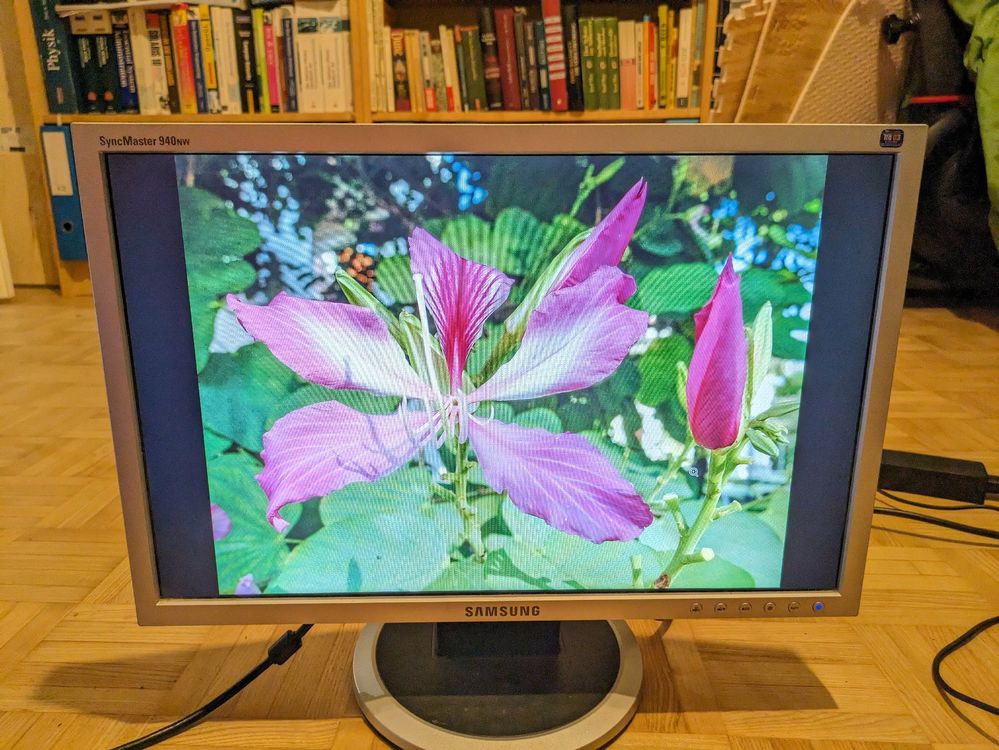 Bildschirm Samsung SyncMaster 940NW (Gebraucht) in Birsfelden für CHF 1 ...
