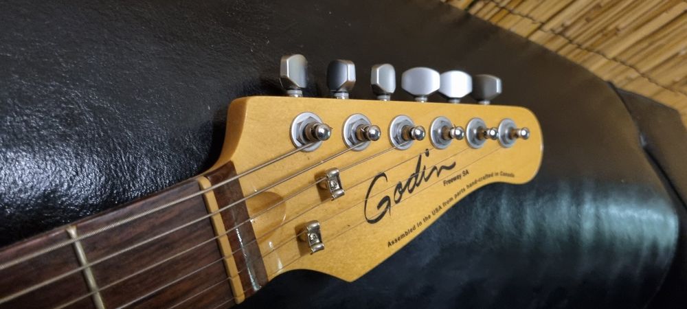 Godin Freeway SA-Synth Access mit Instrumentenrucksack (Gebraucht) in ...