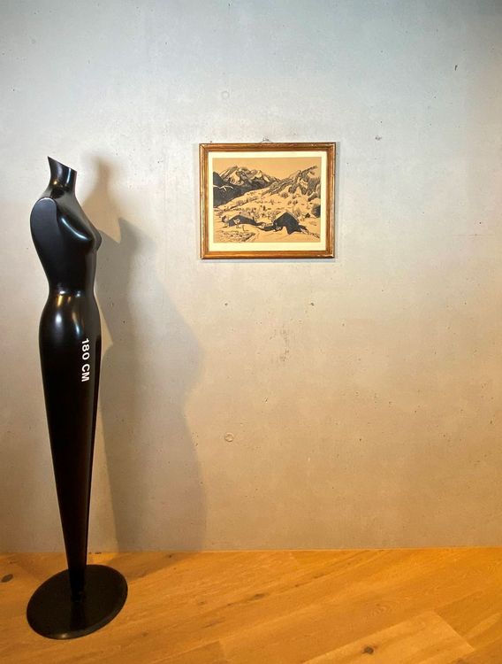 Fred Stauffer - Swiss Art Selection (Gebraucht) in Sursee für CHF 120 – mit Lieferung auf ...