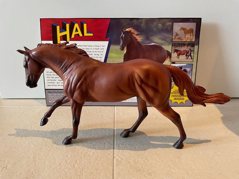 Breyer Traditional Modellpferd Hal Breyerfest 2019 | Kaufen auf Ricardo