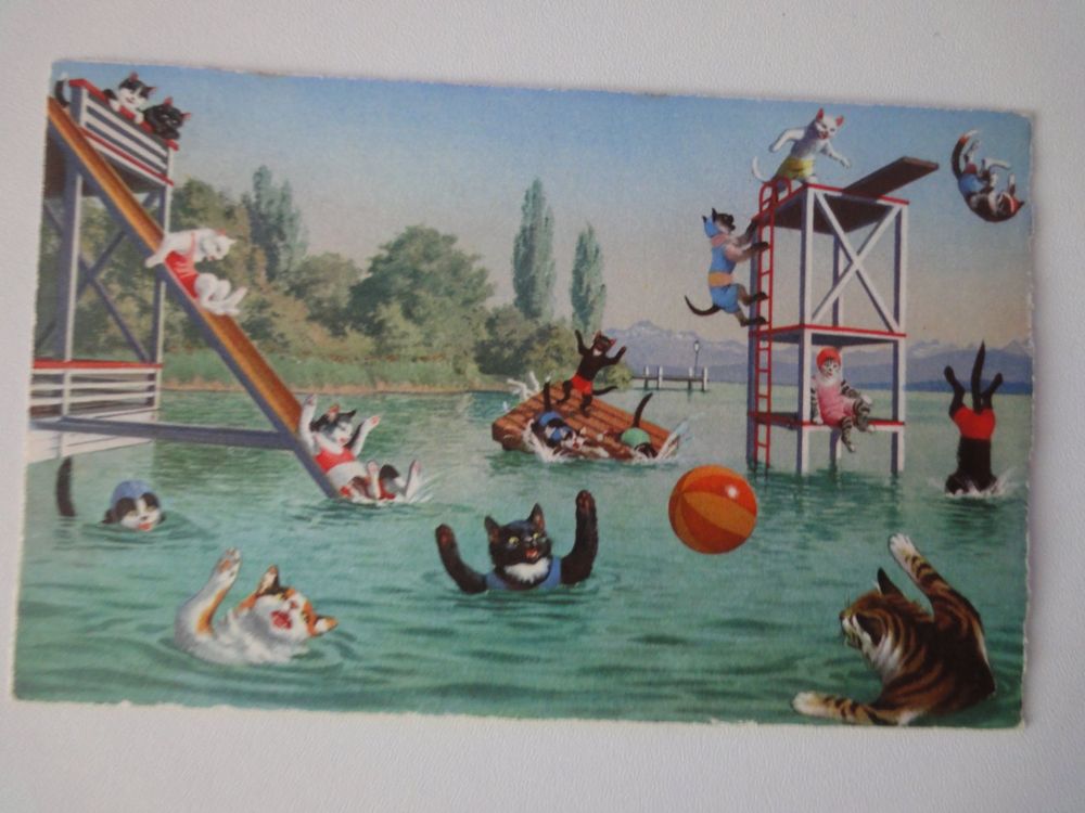 293.) AK "Katzen Schwimmen", 4695, Max Künzli | Kaufen auf Ricardo