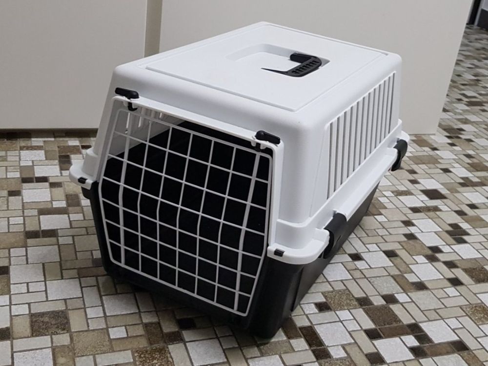 Transportkiste für Katze | Kaufen auf Ricardo