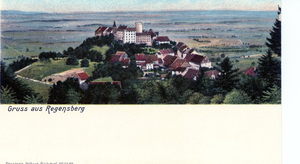 Regensberg 1905 904 | Kaufen auf Ricardo