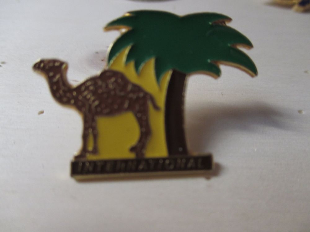 Camel Zigaretten Pin (Neu (gemäss Beschreibung)) in Felsberg für CHF 0. ...