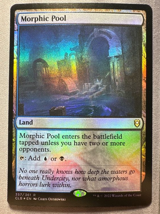 Morphic Pool FOIL 357/361 Baldurs Gate (Neu (gemäss Beschreibung)) in Windlach für CHF 9.9 – mit ...