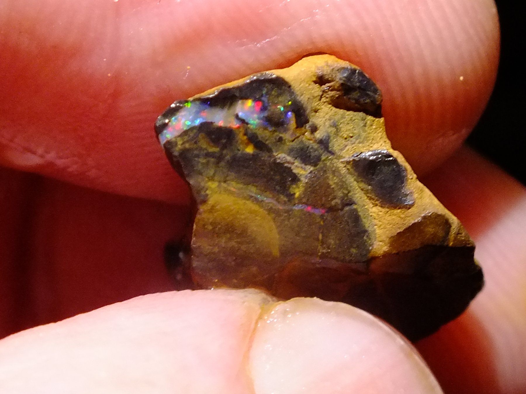 BOULDER ROH OPAL 15 Karat Gebot 1.- Elektrisch Rot Pin feuer (Neu und ...