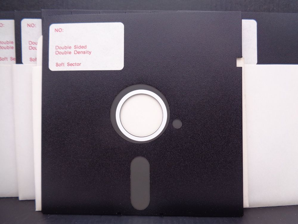 10 STÜCK DISKETTEN 5,25": NO-NAME DS/DD | Kaufen auf Ricardo