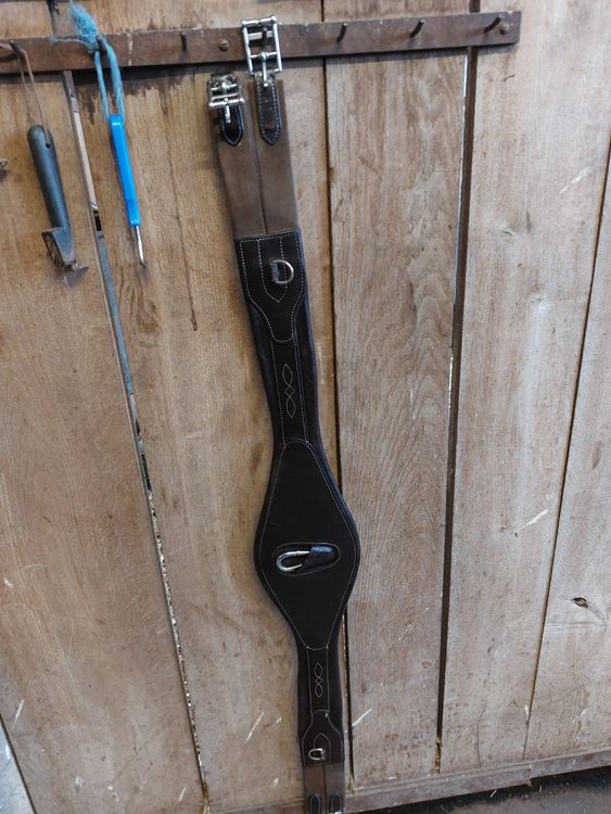 Sattelgurte anatomisch 135cm _ Echtleder | Kaufen auf Ricardo