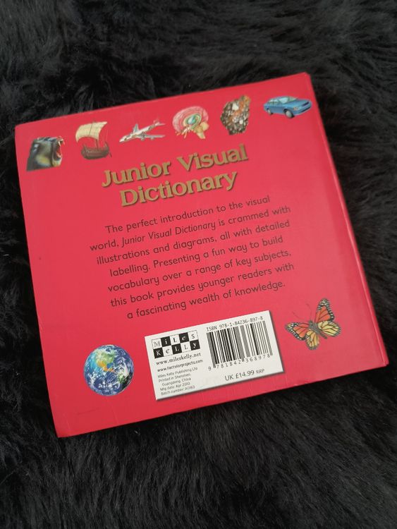 Junior Visual Dictionary | Kaufen auf Ricardo
