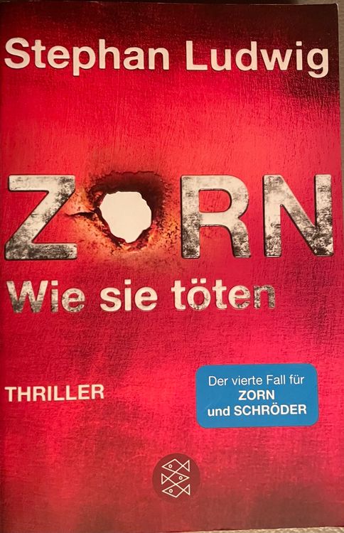 ZORN - WIE SIE TÖTEN - STEPHAN LUDWIG- THRILLER- TASCHENBUCH (Gebraucht ...