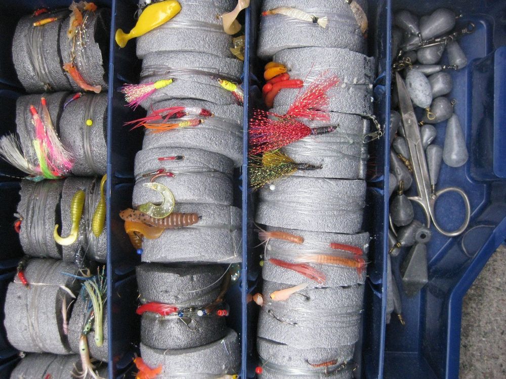 HEGENEN für Egli und Felchen (Gebraucht) in Dübendorf für CHF 144.6 ...