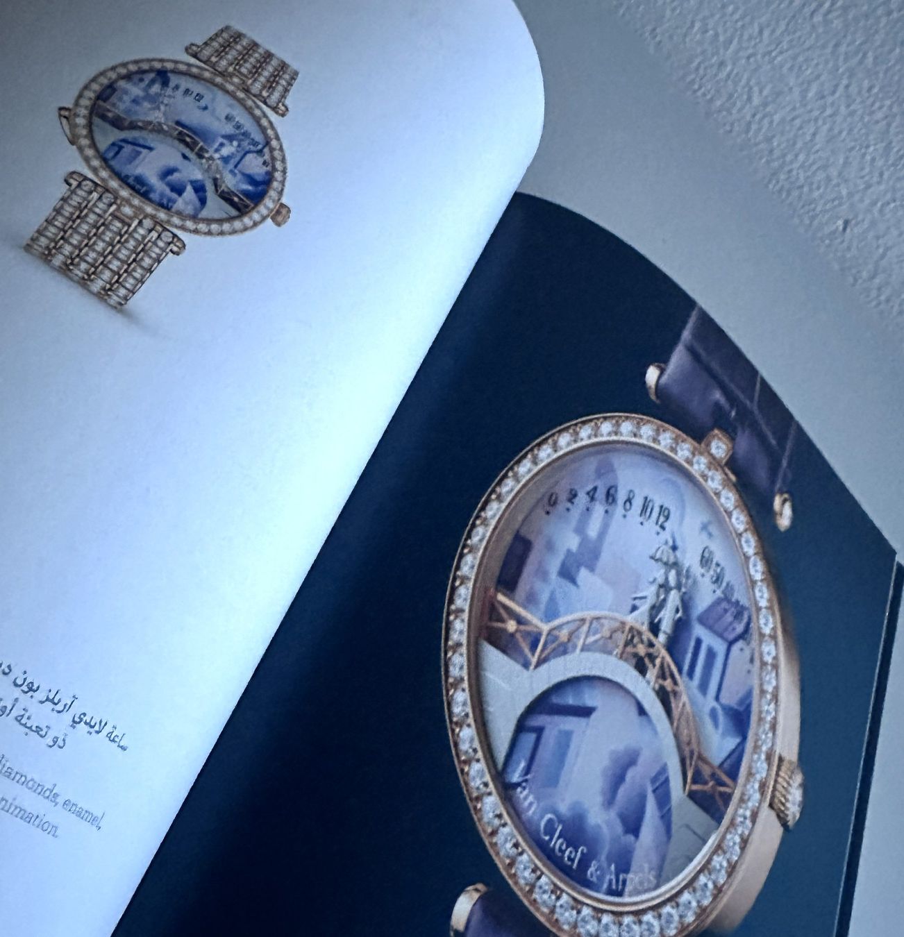 NEW Book Buch Van Cleef & Arpels Jewelry The Poetry of Time (Neu ...