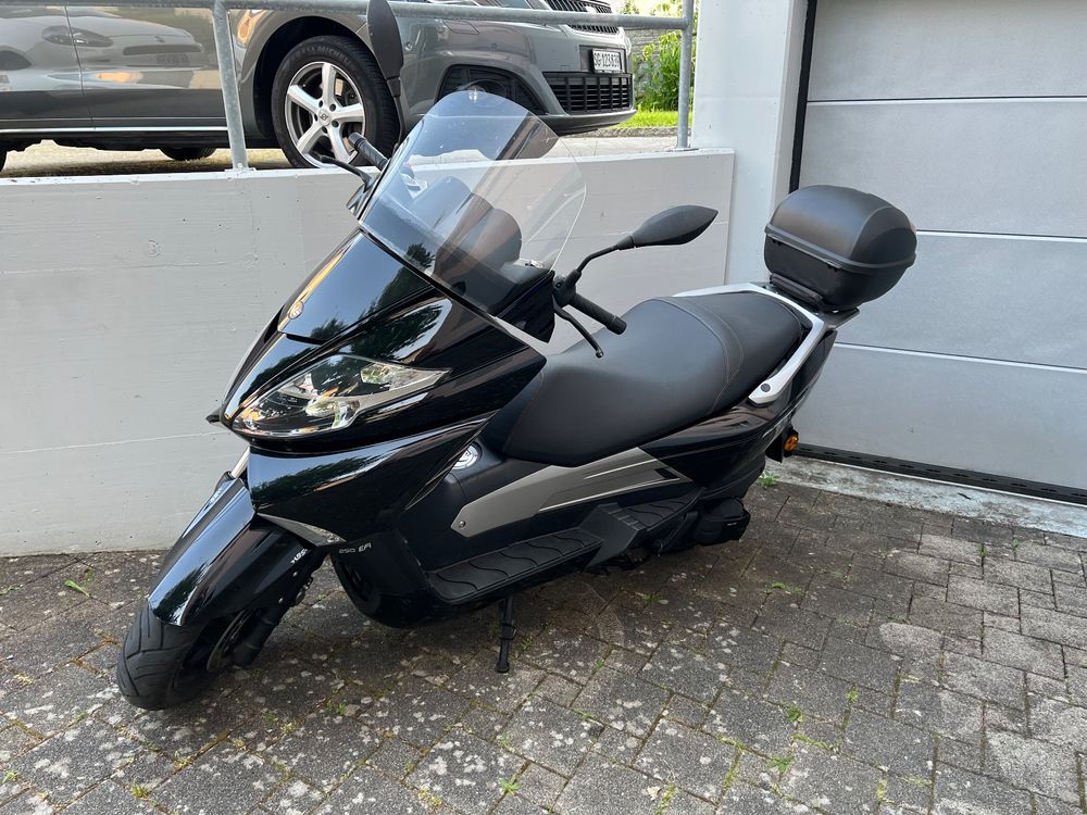 VENGO Silver Blade 250 i (Gebraucht) in Wil SG für CHF 700 – nur ...