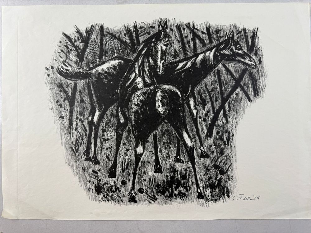 2x Verschiedene Lithographie Handsigniert (Gebraucht) in Neuhausen am Rheinfall für CHF 10 – mit ...