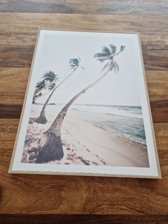 Bild Palmen am Strand | Kaufen auf Ricardo