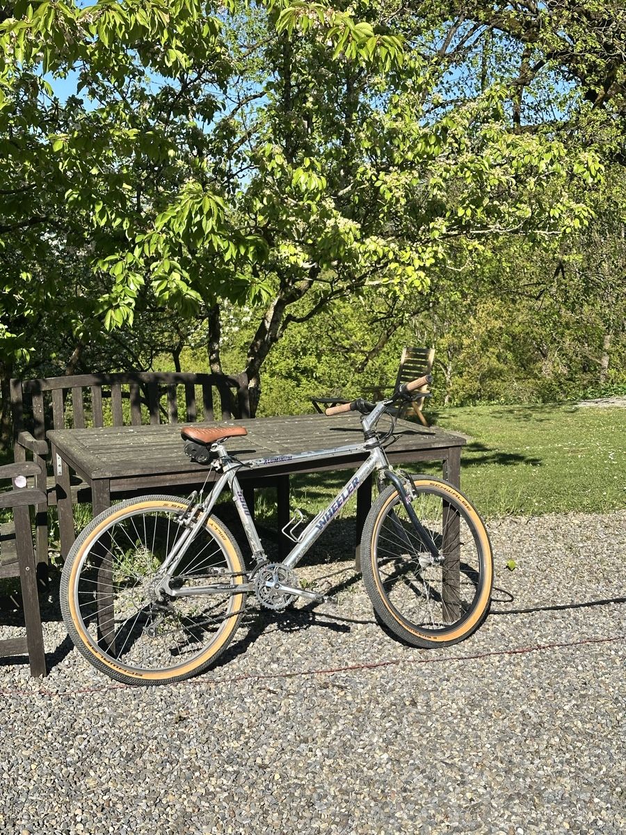 Wheeler 5900 ZX Retro MTB, Urban/Gravel Restomod, 19.5 Zoll, (Gebraucht ...