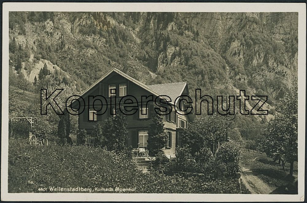 SG Walenstadtberg - Walenstadt | Kaufen auf Ricardo