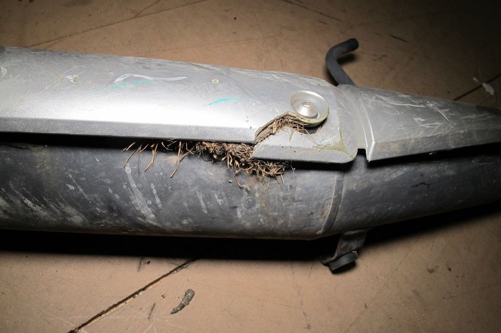 Yamaha YBR 125 leicht defekt Auspuff Räumung Rebikeling (Gebraucht) in Escholzmatt für CHF 299 ...