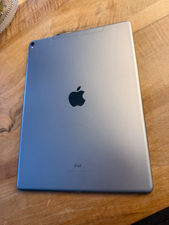 Apple iPad Pro 12.9" 2nd Gen 256 GB GSM+Wifi inkl. Zubehör (Gebraucht ...