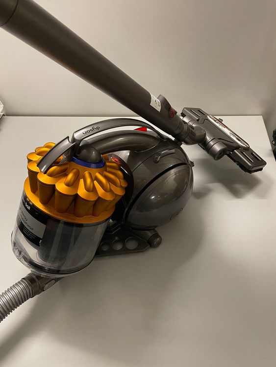 Dyson Ball DC 33 C Allergy Musclehead (Gebraucht) in Bern für CHF 99 ...