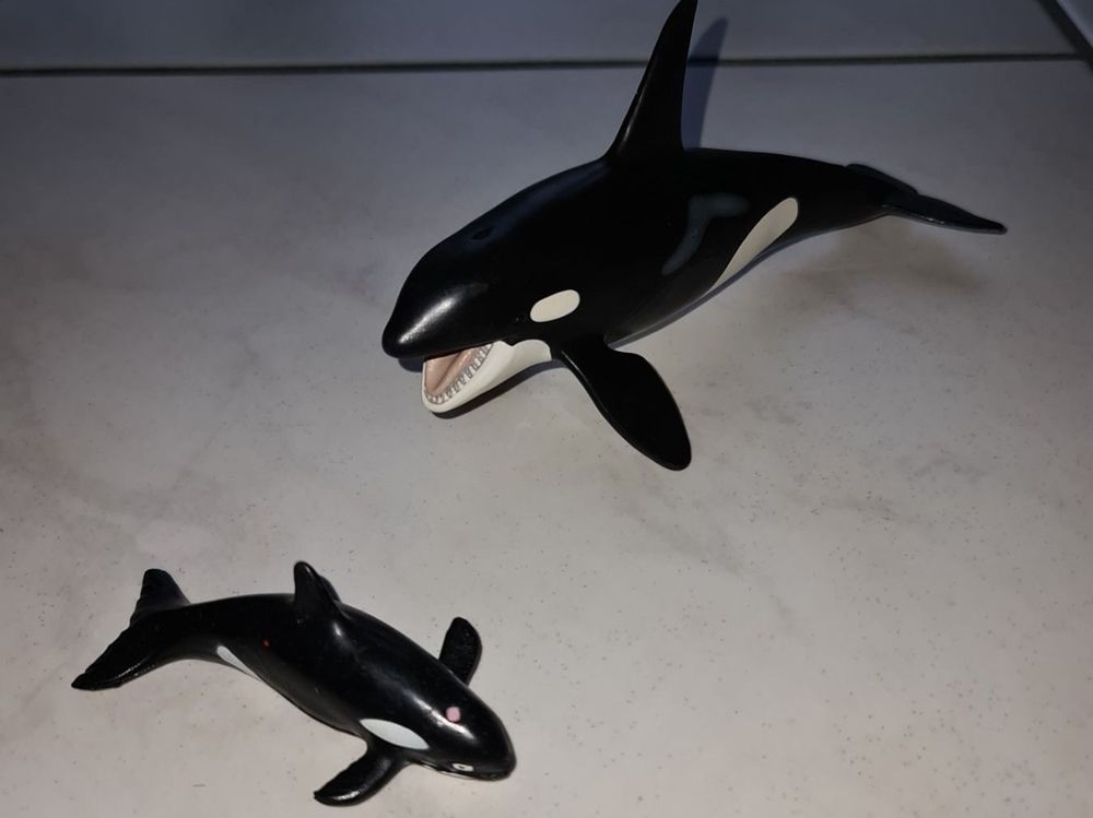 Schleich Tiere Orca | Kaufen auf Ricardo