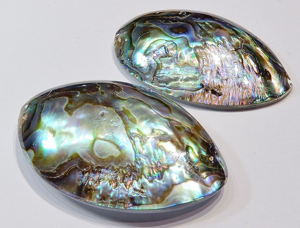 2 echte sehr schöne Abalone Perlmutt Muscheln Perlen (Neu (gemäss ...
