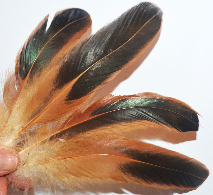 Deko Federn 606 – 15 bis 20 cm – Hahn - 50 Stück –Naturfarbe | Kaufen ...