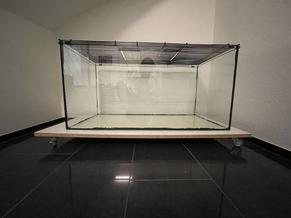 Nagerterrarium und Brett mit Rollen (Gebraucht) in Suhr für CHF 70 ...