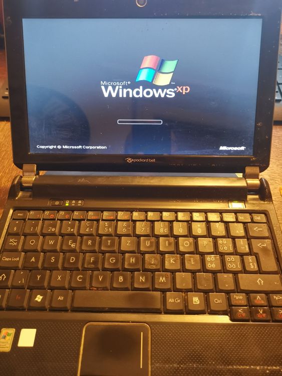 Packard Bell Notebook 10" Windows XP (Gebraucht) in Koppigen für CHF 60 – mit Lieferung auf ...