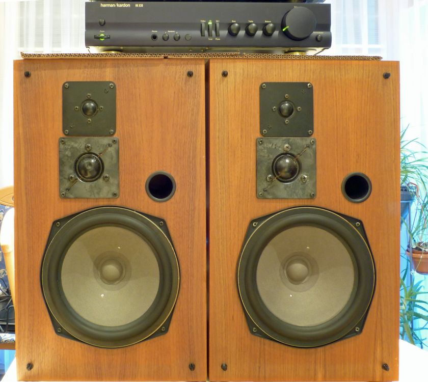 Revox BR 430 Lautsprecher Paar Sagenhafter Sound (Gebraucht) in Rheineck für CHF 350 – nur ...