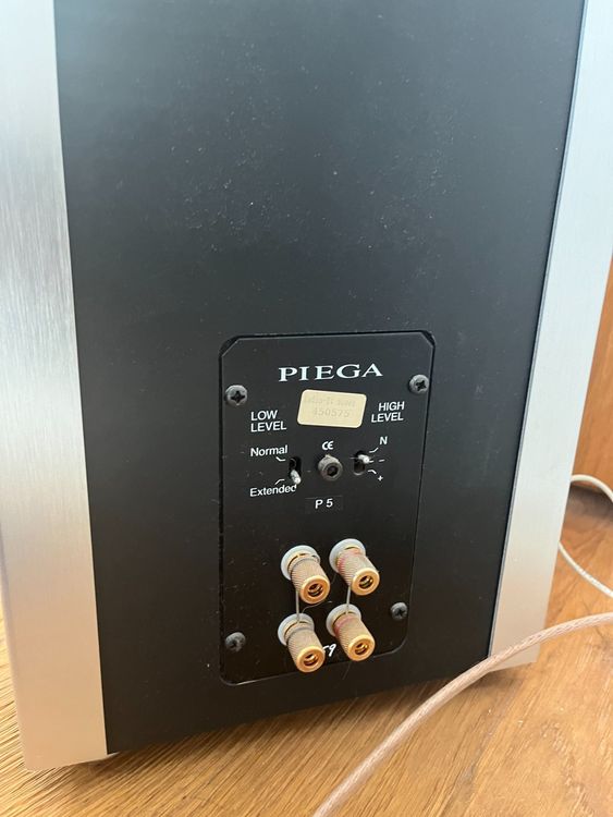 Piega P5 Boxen (Gebraucht) in Obstalden für CHF 450 – nur Abholung auf ...