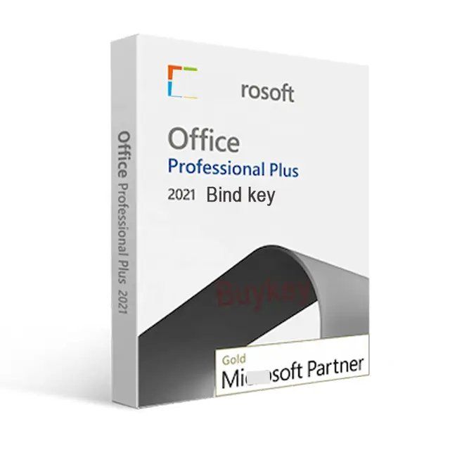 Office Professional Plus 2021 Bind Key | Kaufen auf Ricardo