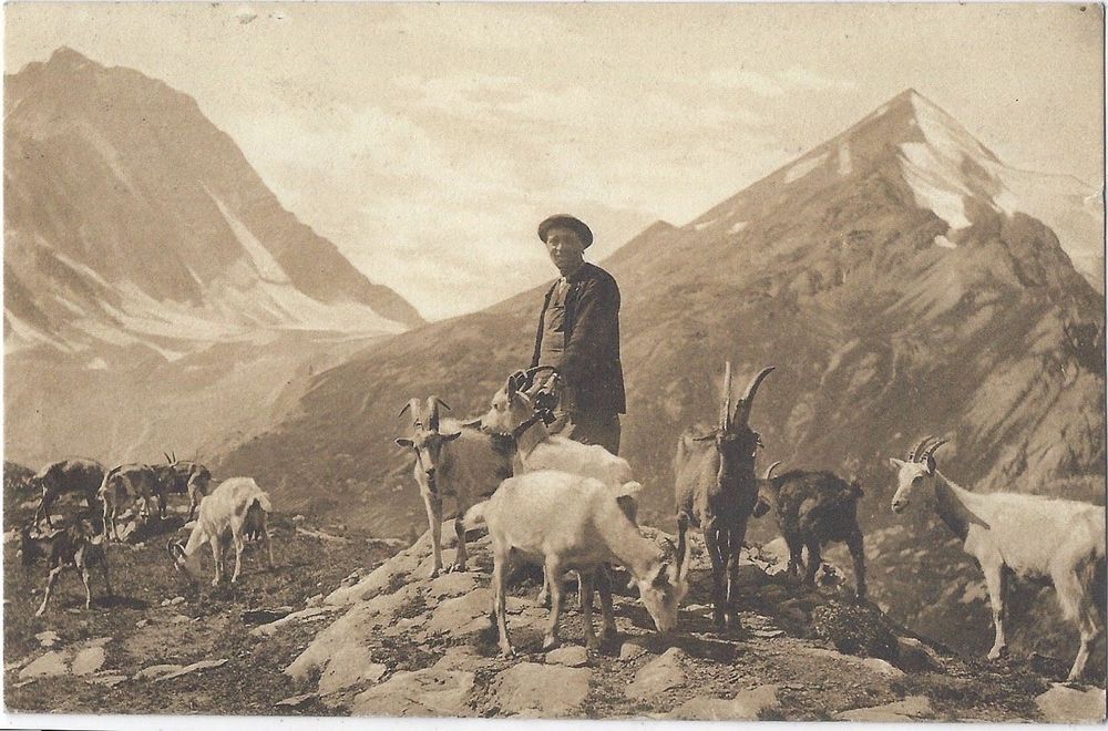 Chevrier dans les Alpes - Champex (?) | Kaufen auf Ricardo
