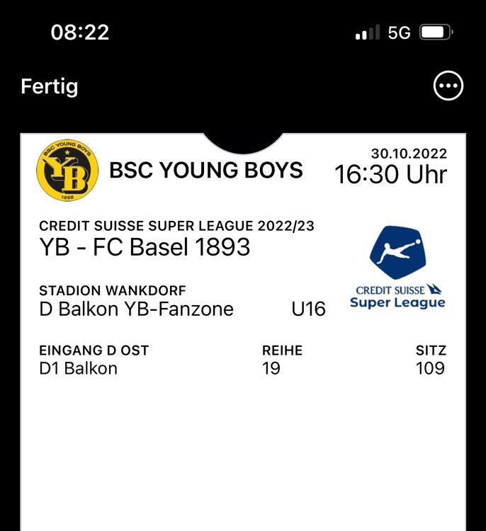 YB-Basel | Kaufen auf Ricardo