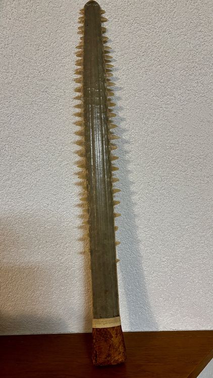 Antiker Fossil Sägerochen-Schwert (Gebraucht) in Münchenstein für CHF ...