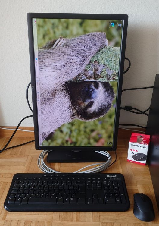 Windows 11 HP PC komplett 1.5TB, 24" Monitor, Maus, Tastatur (Gebraucht ...
