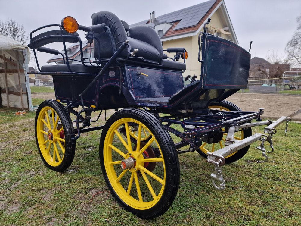 Pferdekutsche Trainings-Wagonette ein- oder zweispännig (Gebraucht) in Aefligen für CHF 900 ...