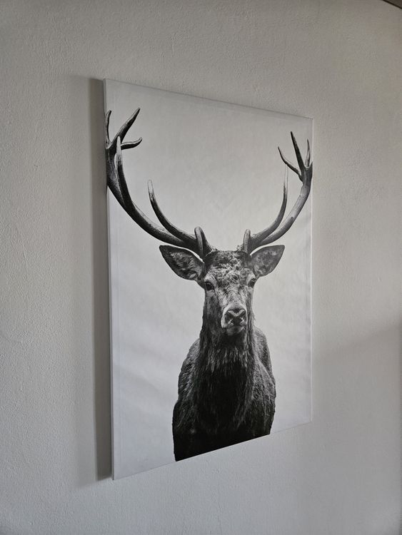 Leinwand Bild Hirsch BJÖRKSTA IKEA | Kaufen auf Ricardo