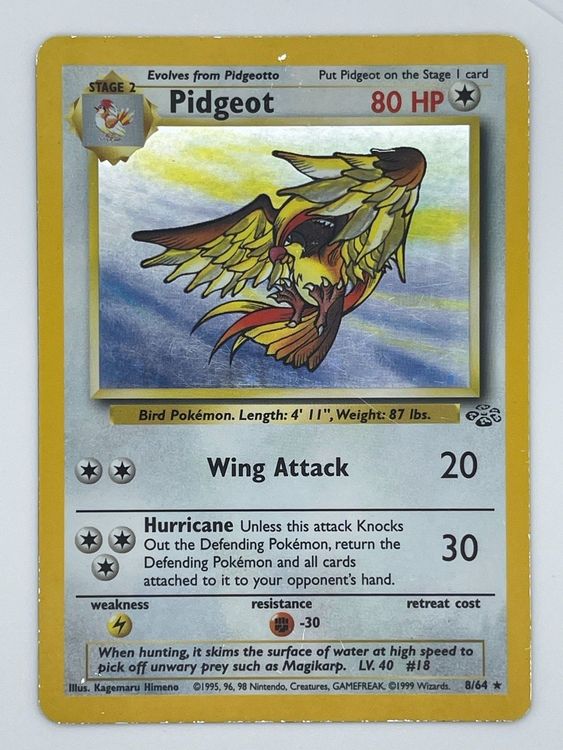 Pidgeot 8/64 Holo Rare Pokémon Jungle (Neu (gemäss Beschreibung)) in ...