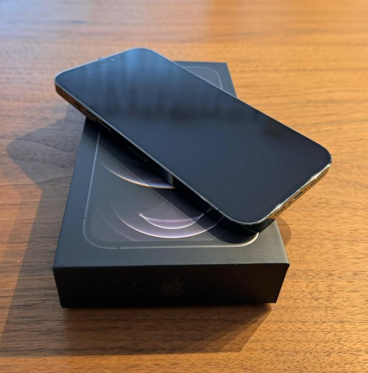 iPhone 12 Pro Max, Graphite, 256GB (Gebraucht) in Herisau für CHF 370 ...